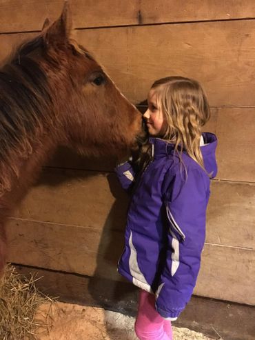 Gallery | Boulder Brook Stables